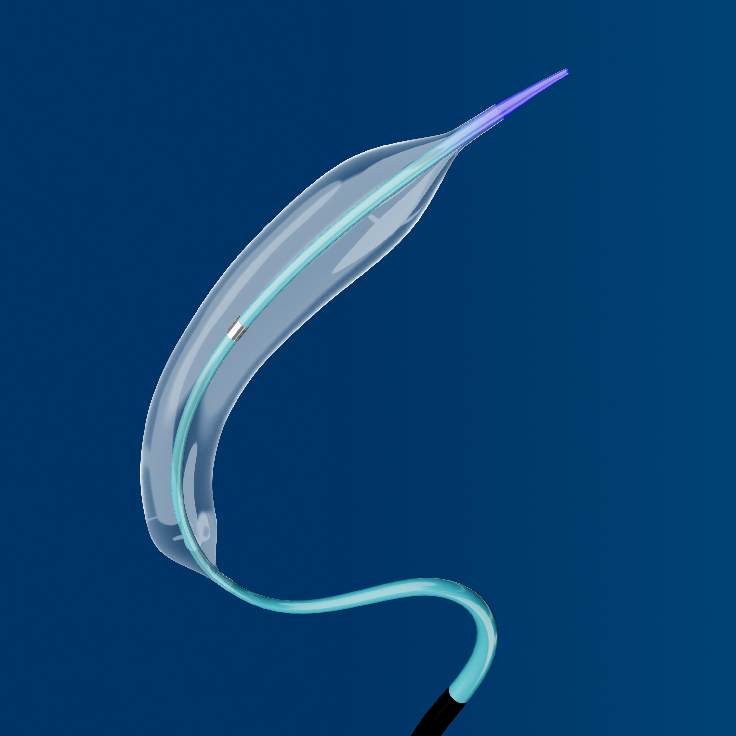 PTCA Balloon Catheter - Manufacturer and Supplier | AccuPath